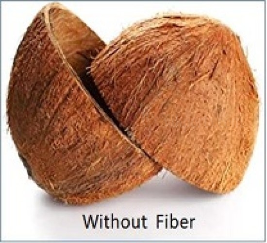 Raw Coconut Shells | Crafts